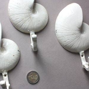 1 Rustic Shell Wall Hook Cream, Snail Towel Hook Coastal Chic ...