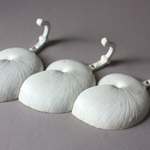 1 Rustic Shell Wall Hook Cream, Snail Towel Hook Coastal Chic ...