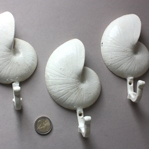 1 Rustic Shell Wall Hook Cream, Snail Towel Hook Coastal Chic ...