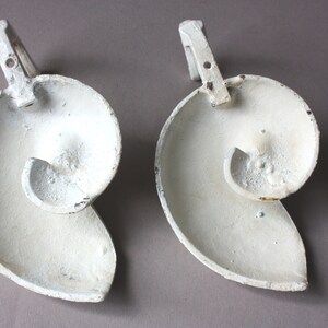 1 Rustic Shell Wall Hook Cream, Snail Towel Hook Coastal Chic ...