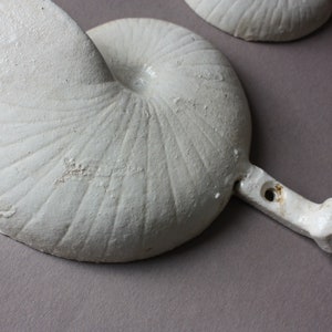 1 Rustic Shell Wall Hook Cream, Snail Towel Hook Coastal Chic ...
