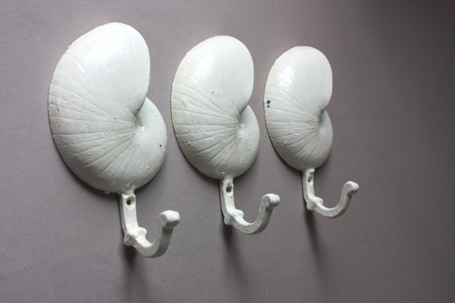 1 Rustic Shell Wall Hook Cream, Snail Towel Hook Coastal Chic ...