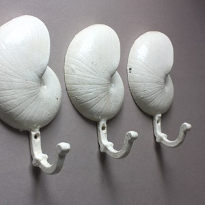 1 Rustic Shell Wall Hook Cream, Snail Towel Hook Coastal Chic ...