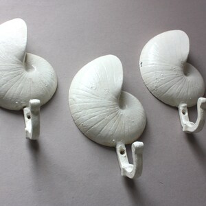 1 Rustic Shell Wall Hook Cream, Snail Towel Hook Coastal Chic ...