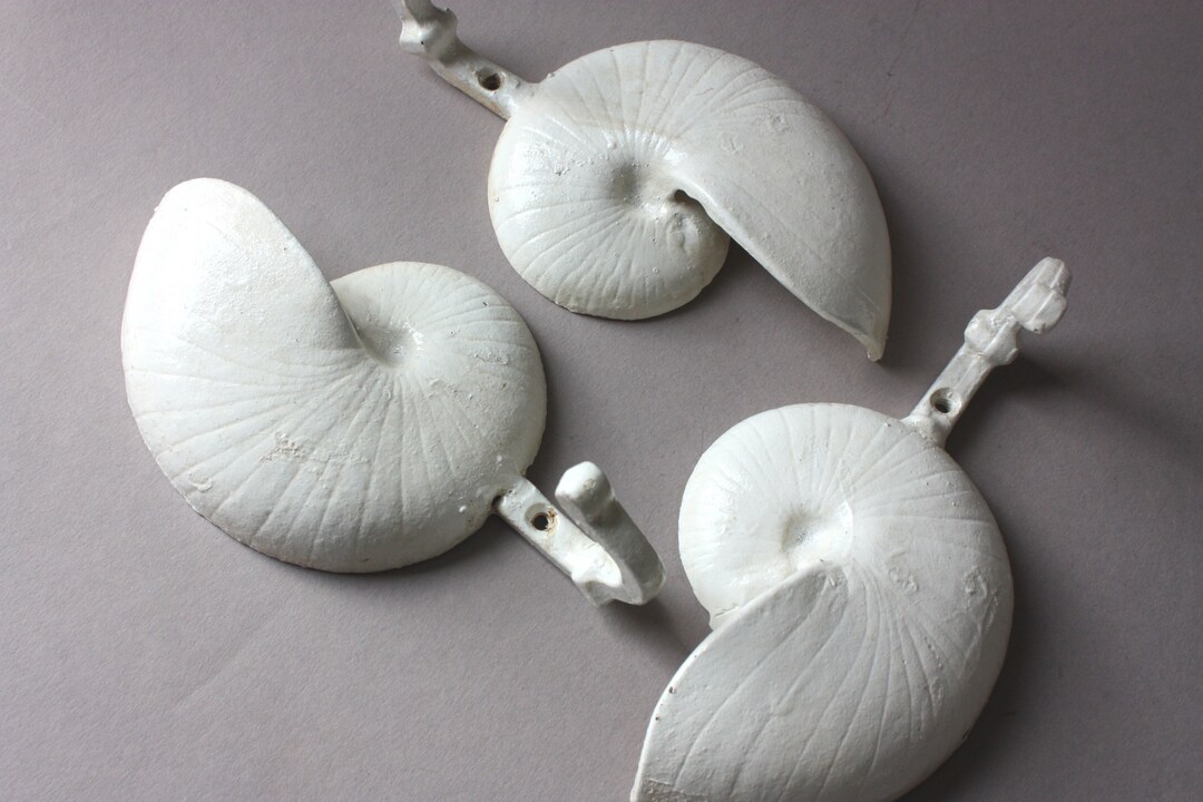 1 Rustic Shell Wall Hook Cream, Snail Towel Hook Coastal Chic ...