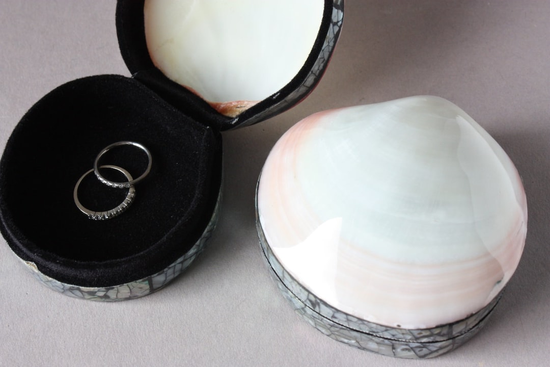 Shell Jewellery Box, Pill Box, Container, Jewelry Storage, Trinket - Etsy