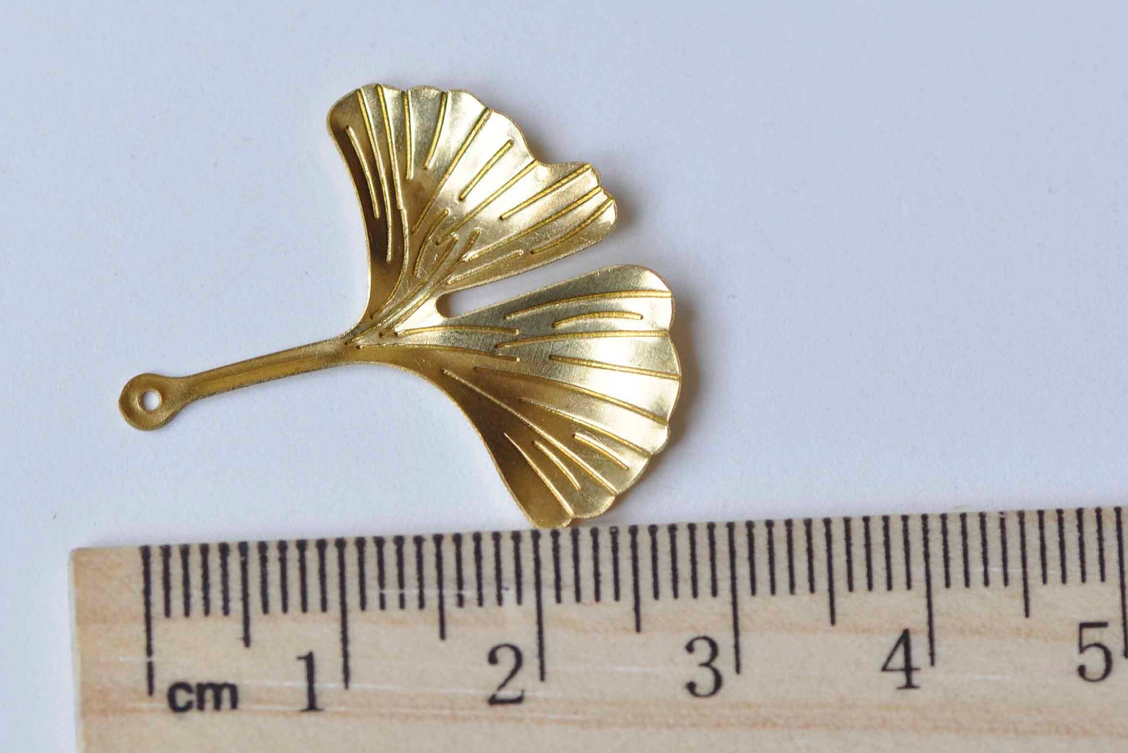 10 Pcs Raw Brass Gingko Gingkgo Leaf Charms Pendants Stamping ...