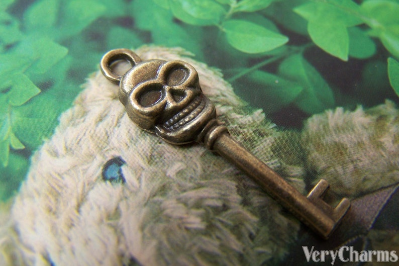 20 Pcs of Antique Bronze Skull Key Charms 8x28mm A195 - Etsy