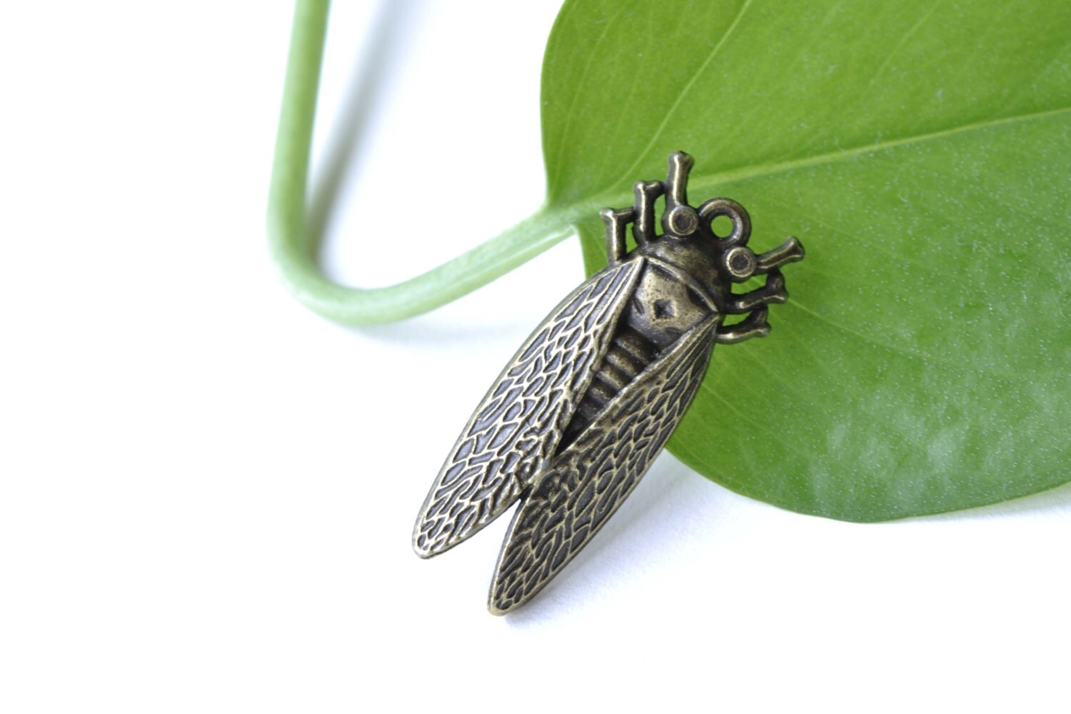 Cicada Charms Antique Bronze Insect Pendants 16x38mm Set of 10 A8096 - Etsy