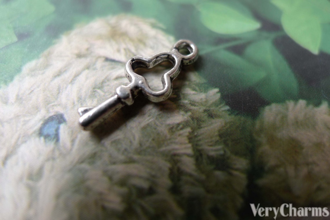 50 pcs Antique Silver Tiny Skeleton Key Charms 7x16mm A7243 | Etsy