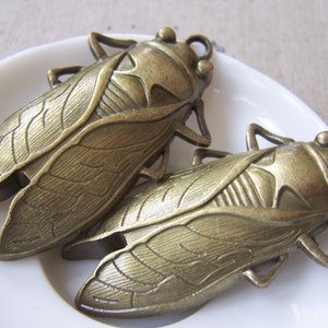 5 Pcs Antique Bronze Huge Cicada Locust Bug Pendants 34x62mm A3607 - Etsy