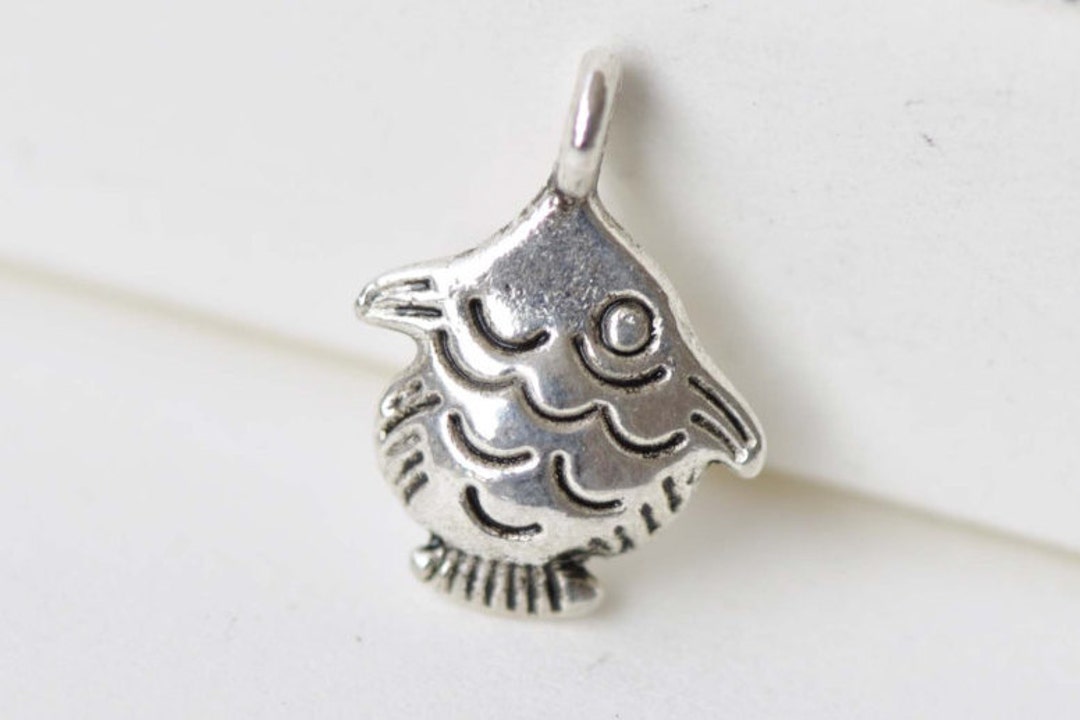 20 Pcs Antique Silver Tiny Fish Charms 11x15mm A8674 - Etsy