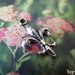 20 Pcs of Antique Silver Lovely Flower Lily Charms 12x18mm A2336 - Etsy