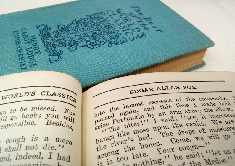 Fancy Book Collection the Best of the Worlds Classics Lot Edgar Allen ...