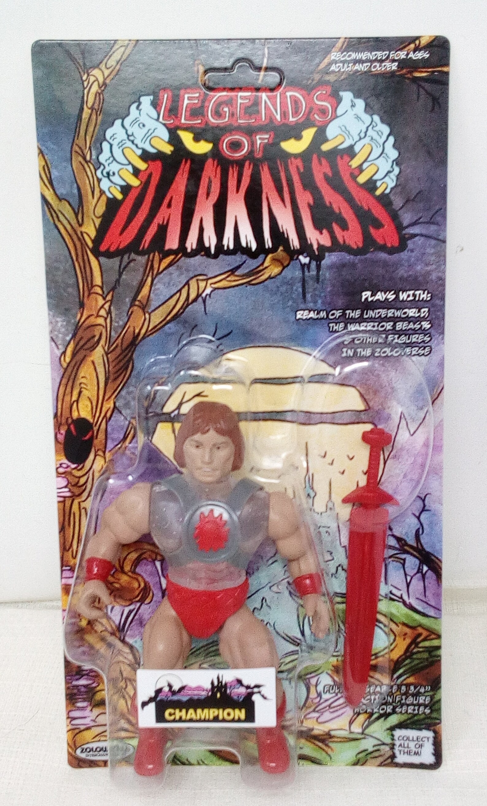 Legends of Darkness Champion Carded Action Figure MOTU Kos - Etsy