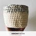 CROCHET PATTERN Color Tipped Planter Basket the Eco - Etsy