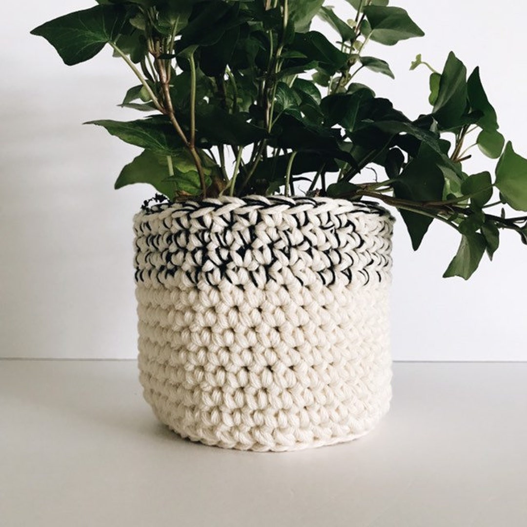Small Color Tipped Planter Basket the Eco Collection 5 Diameter - Etsy
