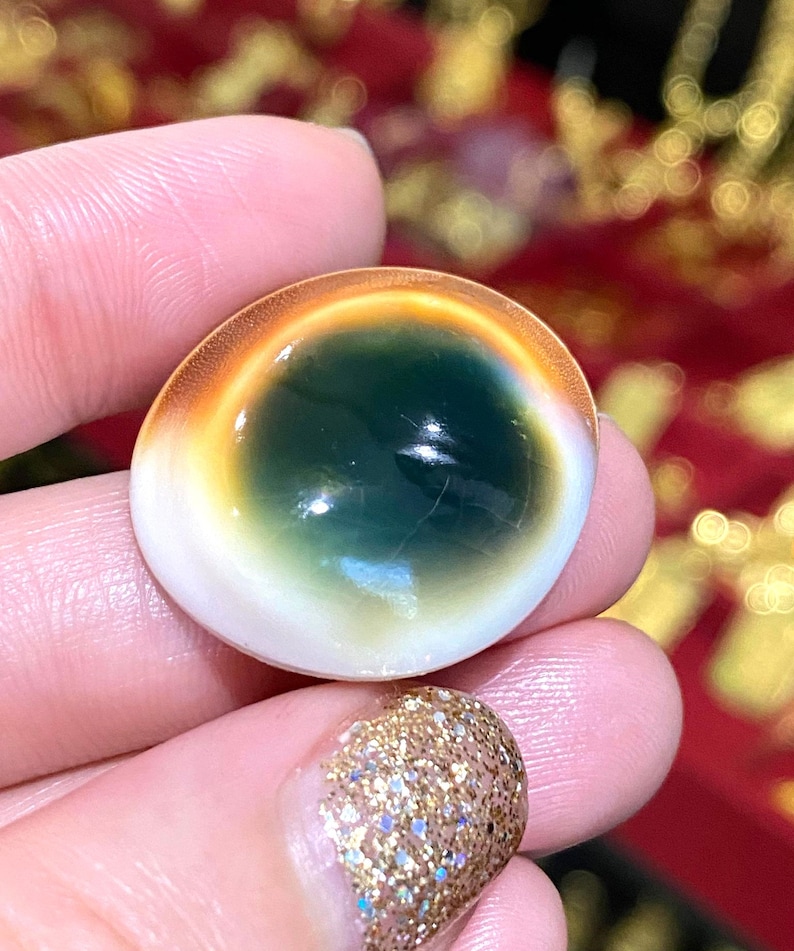 Vintage Green, White, Orange Operculum Shell Eye Make for Pendant. - Etsy