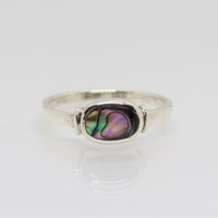 Abalone - Etsy