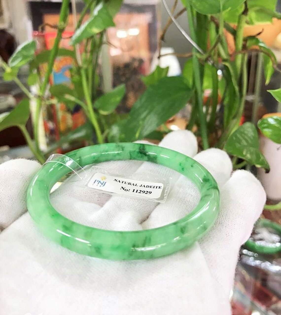 Vintage Translucent Natural Green Jadeite Jade Bangle Bracelet - Etsy