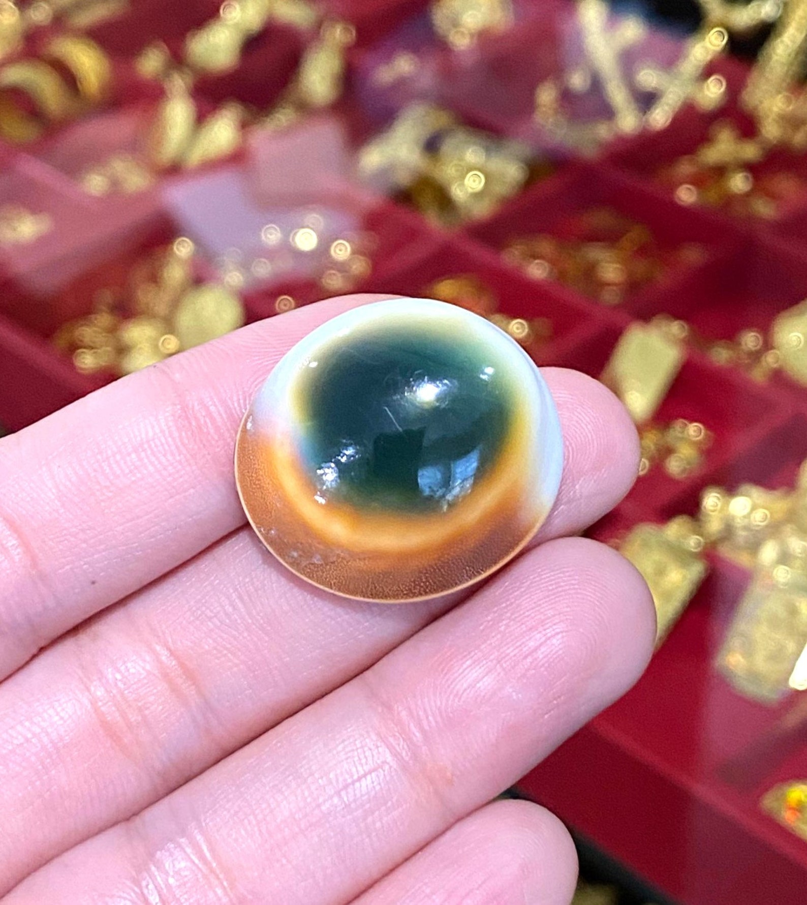 Vintage Green, White, Orange Operculum Shell Eye Make for Pendant. - Etsy