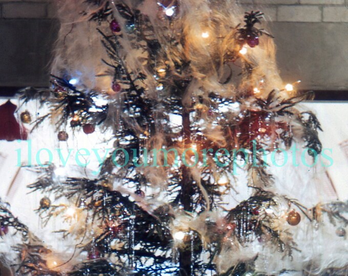 Vintage Red Border Kodachrome..angel Hair Tree 1950's, Original 35mm ...