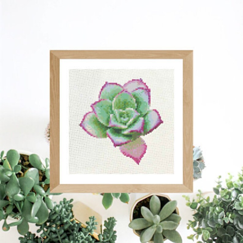 Succulent Cross Stitch Pattern - Etsy