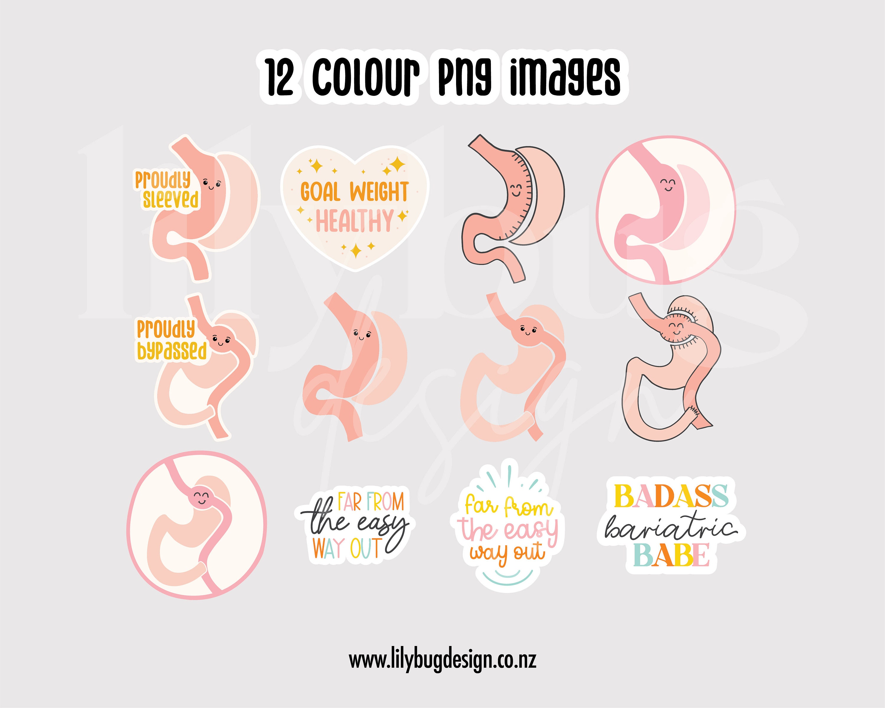 Gastric Bypass Gastric Sleeve Hand Drawn Clipart Set Medical - Etsy