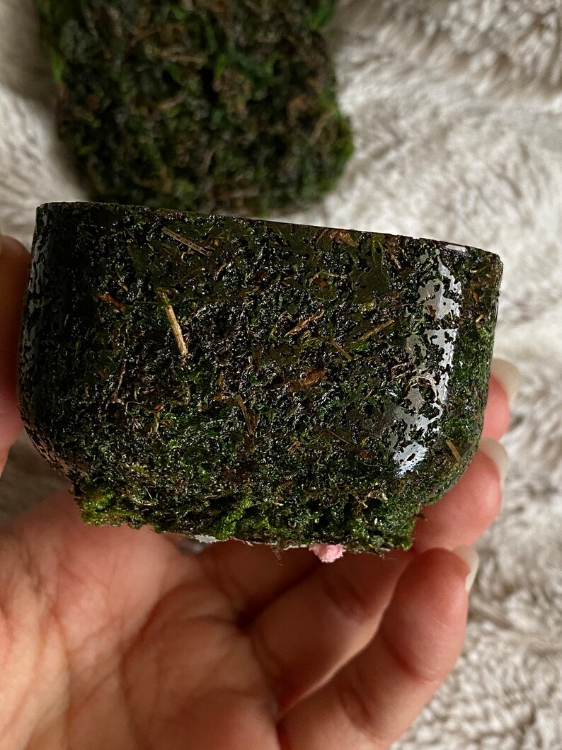 Mini Jar! Dried Natural Moss Lidded Container Yellow or Pink Cherry ...