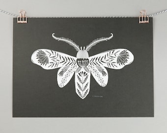 A4 art print detailed moth and leaves illustration | Etsy