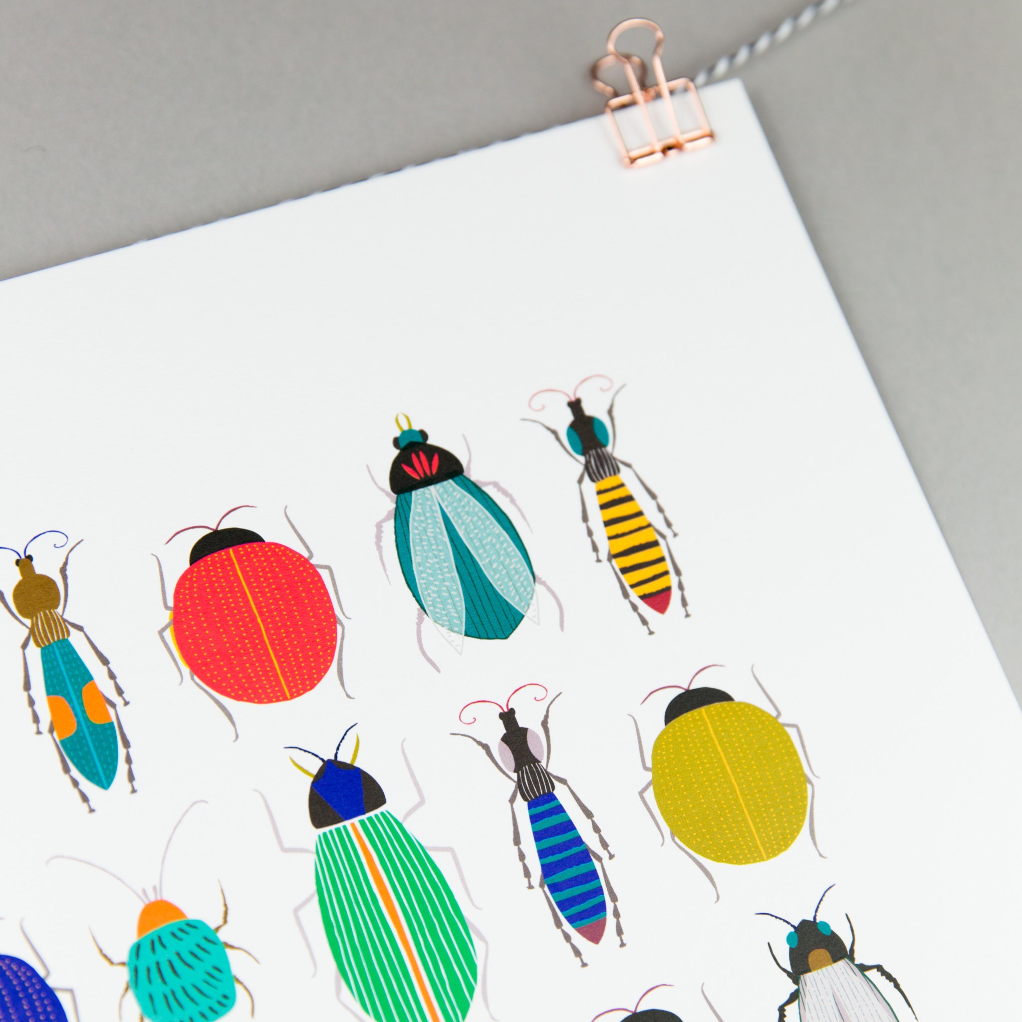 A3 art print bugs and beetles illustration | Etsy