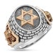 Silver and 14K Gold Star of David Ringmagen David Ringlion - Etsy