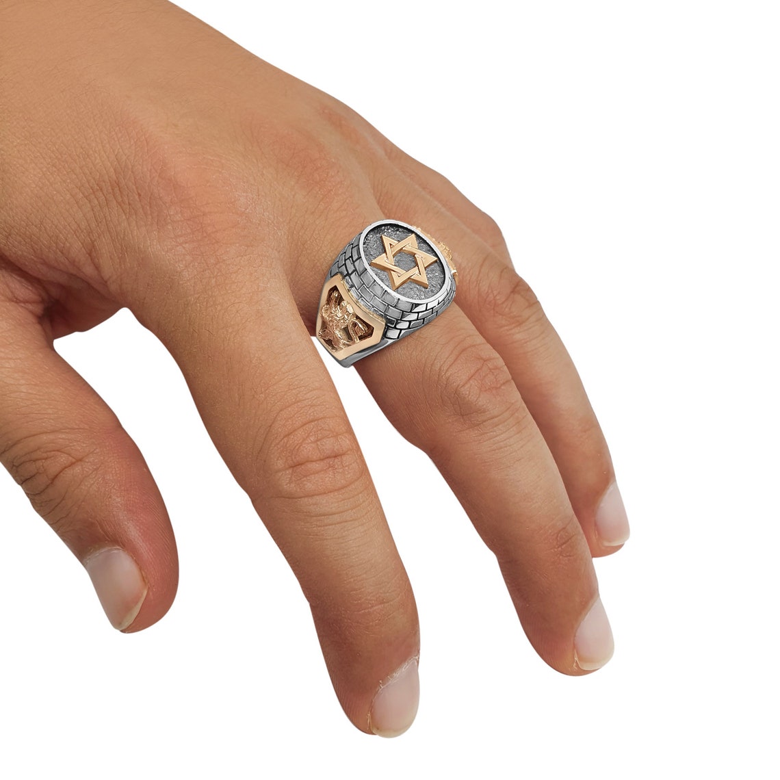 Silver and 14K Gold Star of David Ring,magen David Ring,lion of Judah ...