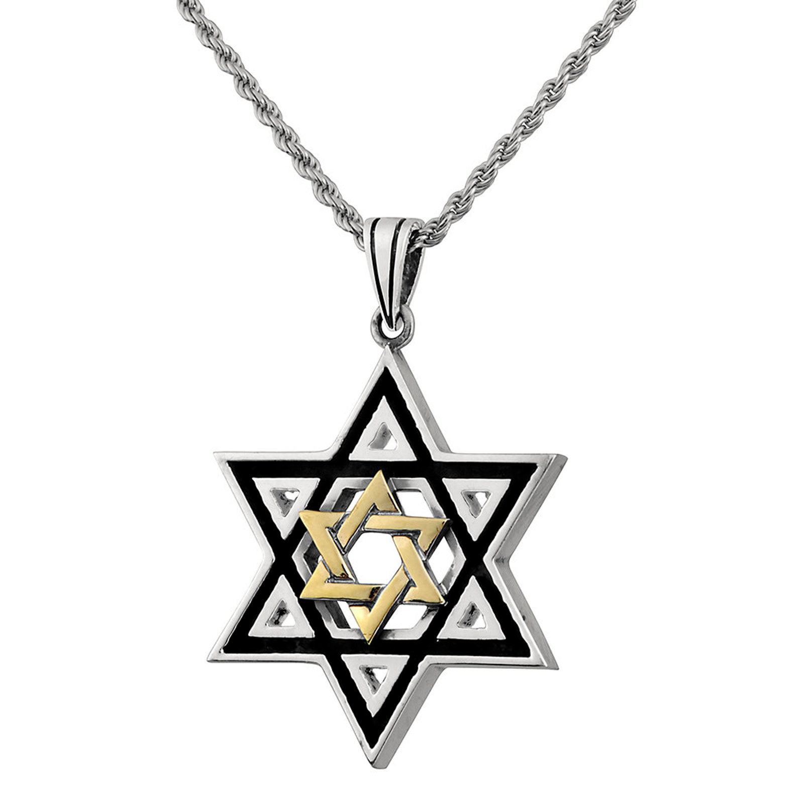 Silver and Gold Jewish Star of David and Lion of Judah Pendant,magen ...
