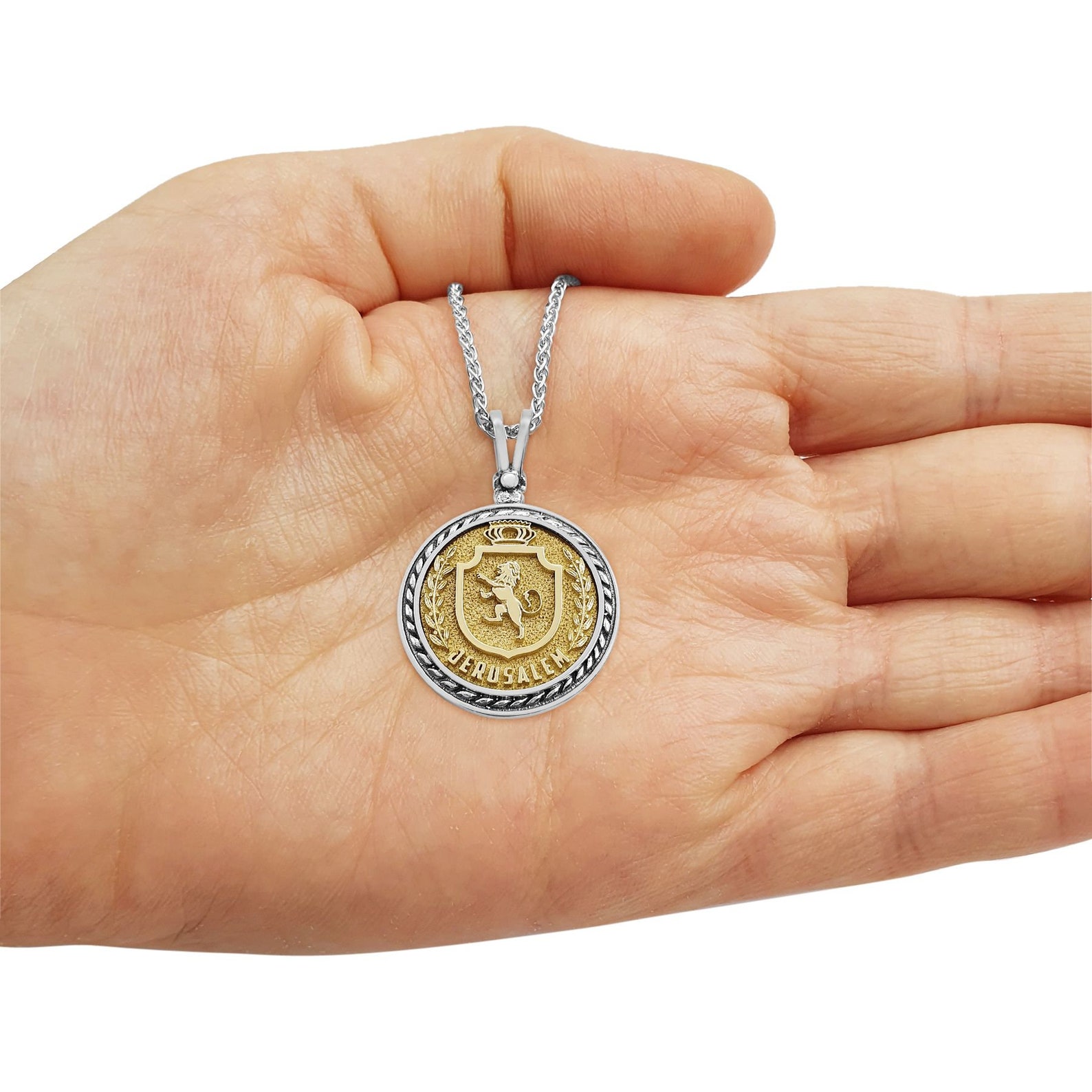 14K Gold and Sterling Silver Jerusalem Lion Hebrew Necklace,two Tone ...