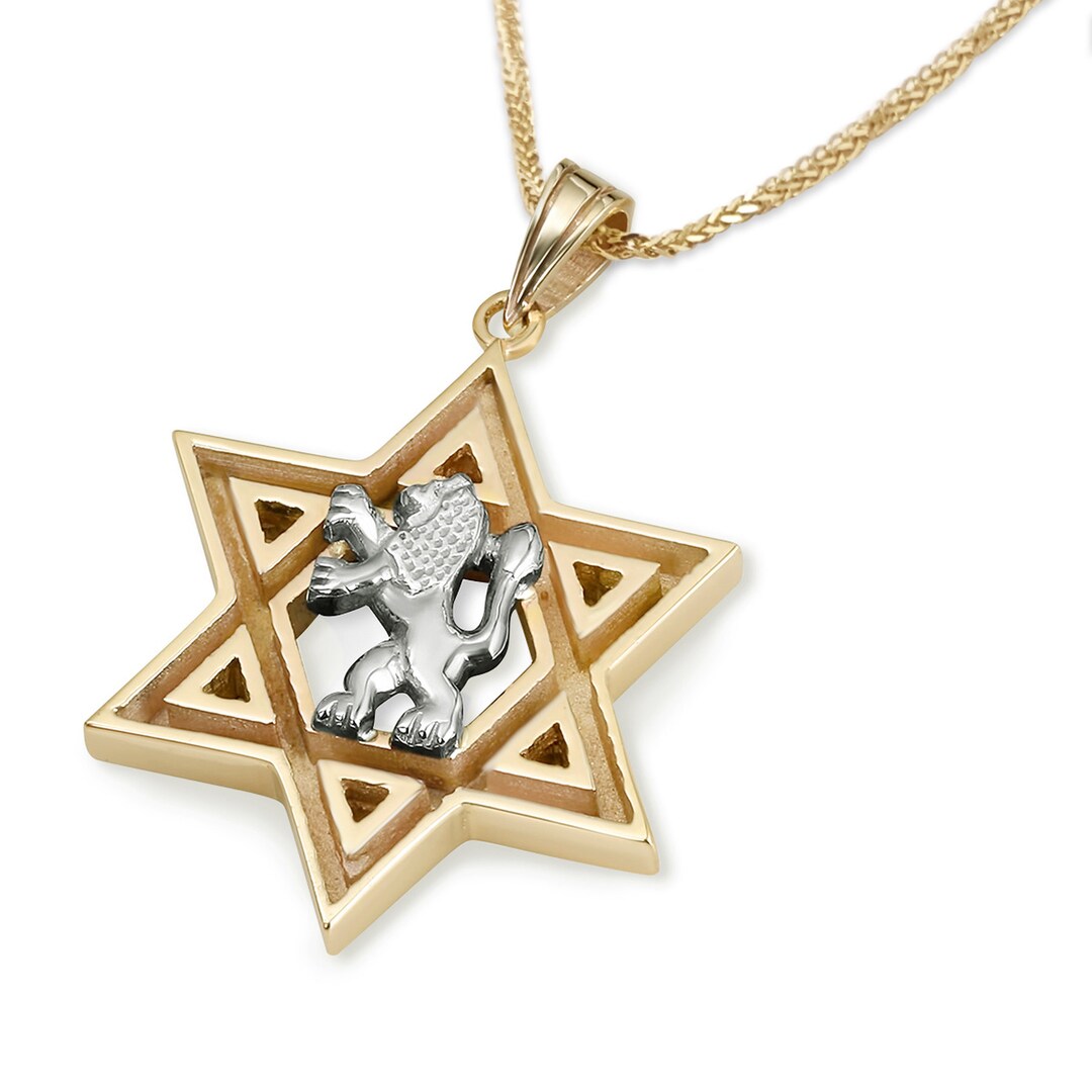 Gold Star of David Lion of Judah Pendant,solid Magen David Necklace,two ...