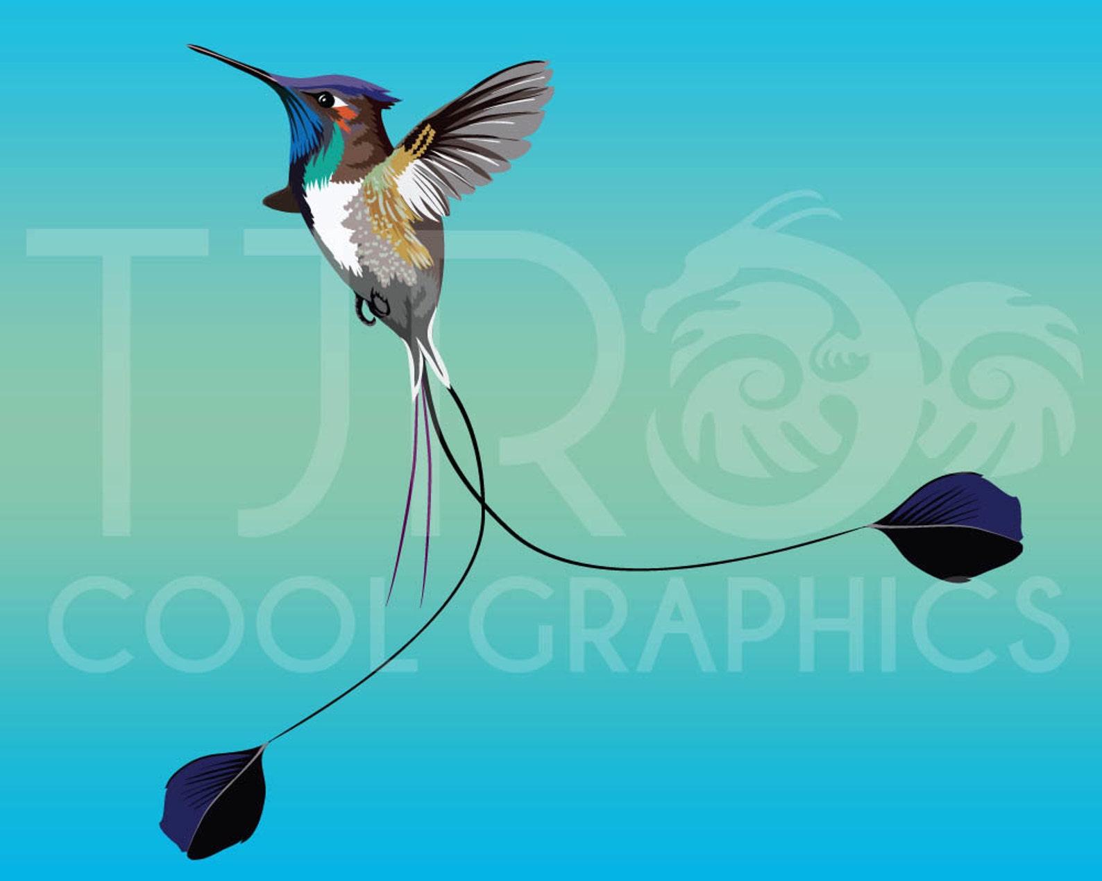 Hummingbird Clipart Birds Clipart Animals Clipart SVG Clip | Etsy