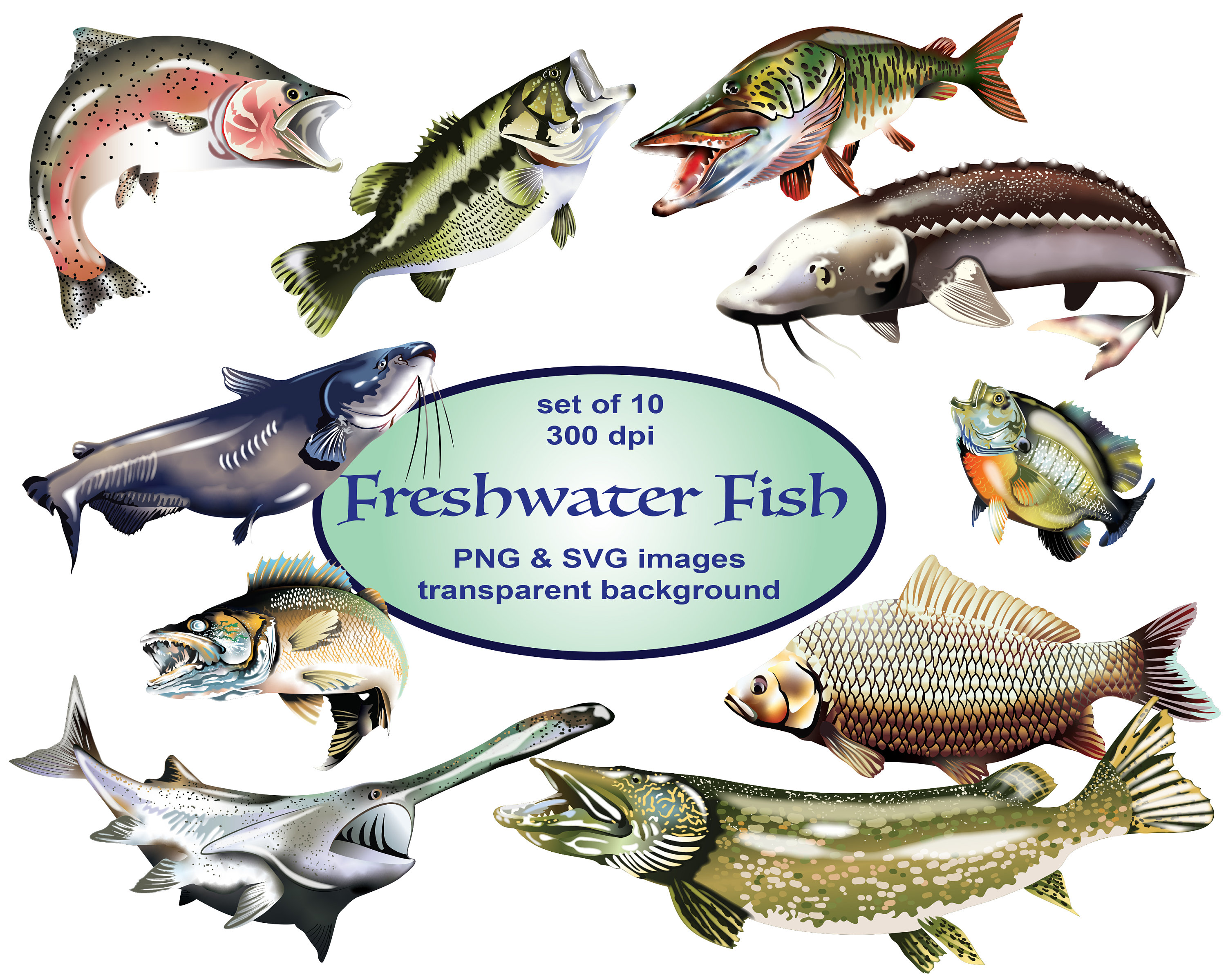 Freshwater Fish Digital Realistic Clip Art SVG Printable | Etsy