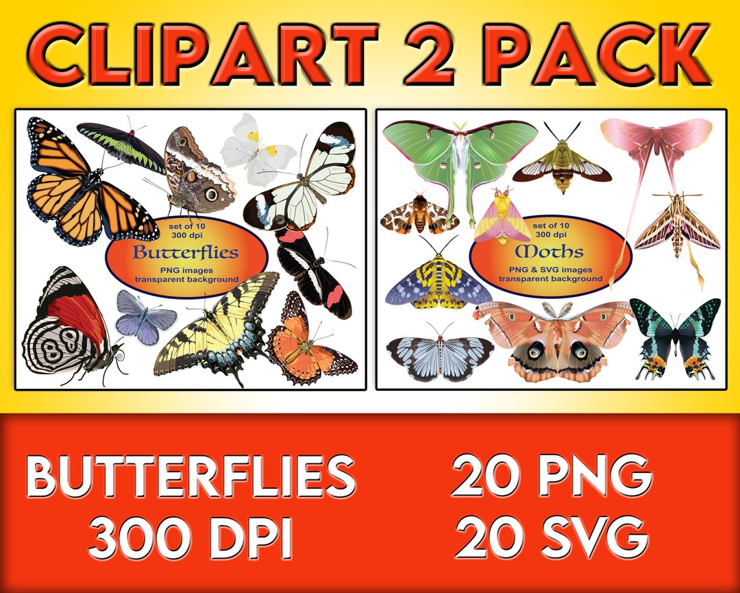Butterflies and Moths Clip Art Animal Clip Art SVG Clipart - Etsy