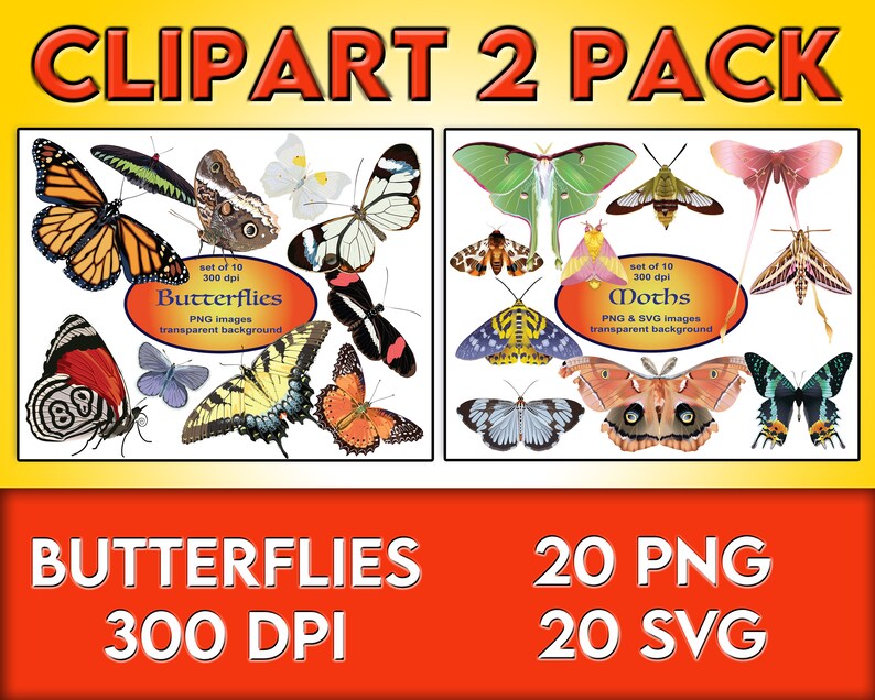 Butterflies and Moths Clip Art Animal Clip Art SVG Clipart - Etsy