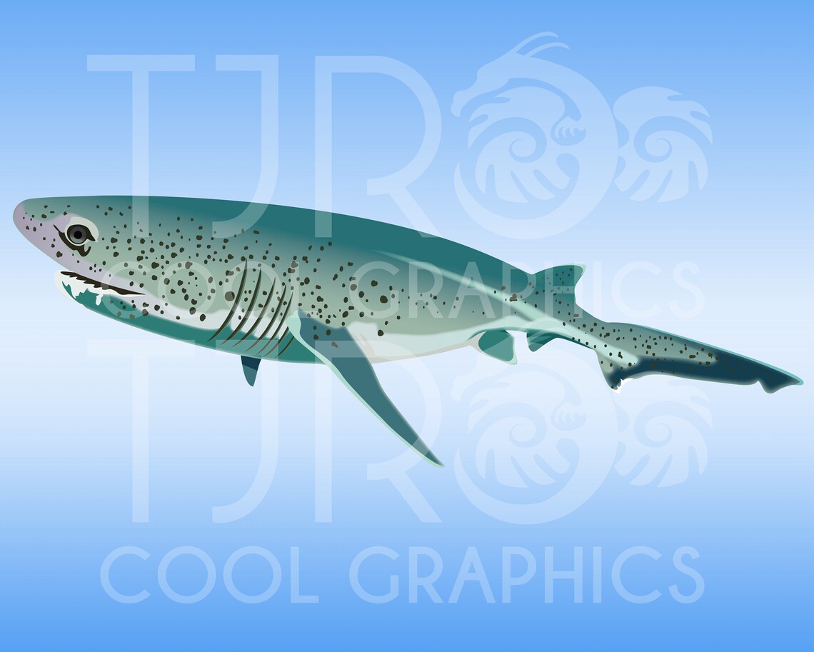 Sharks Clip Art Ocean Clip Art Fish Clipart Animals - Etsy