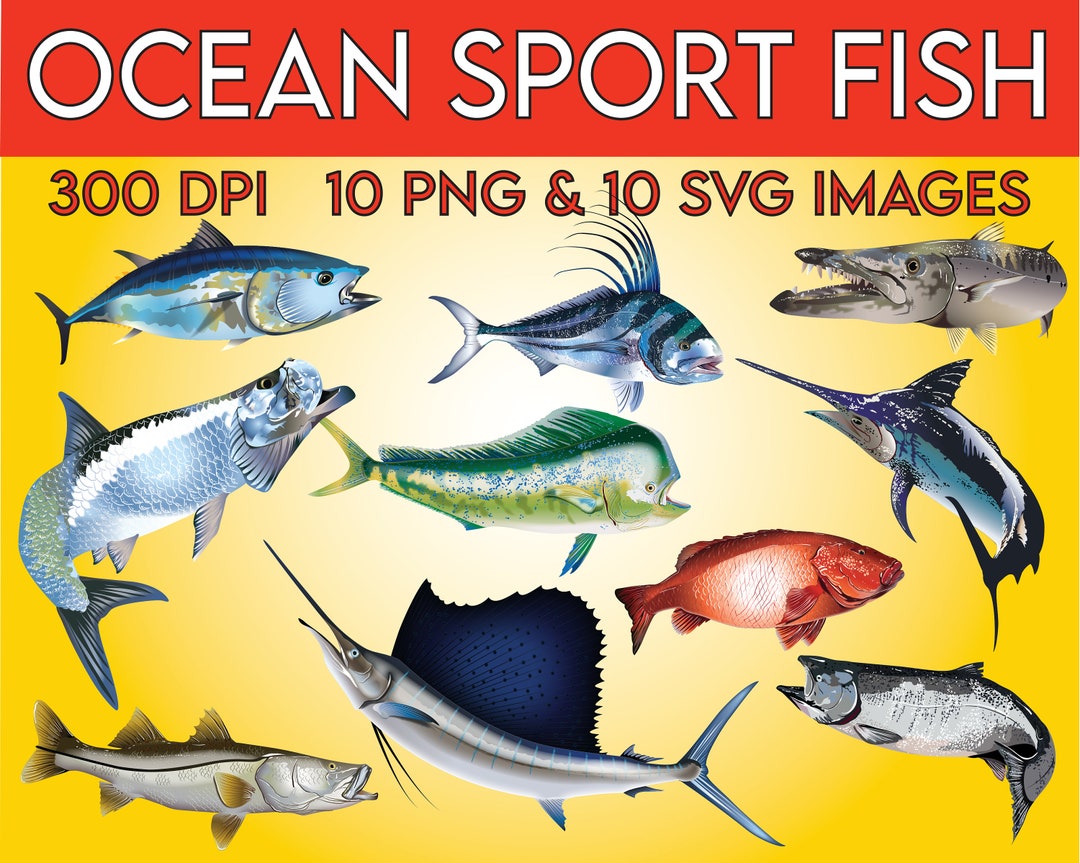 Fishing SVG Sports Fish Clipart - Etsy