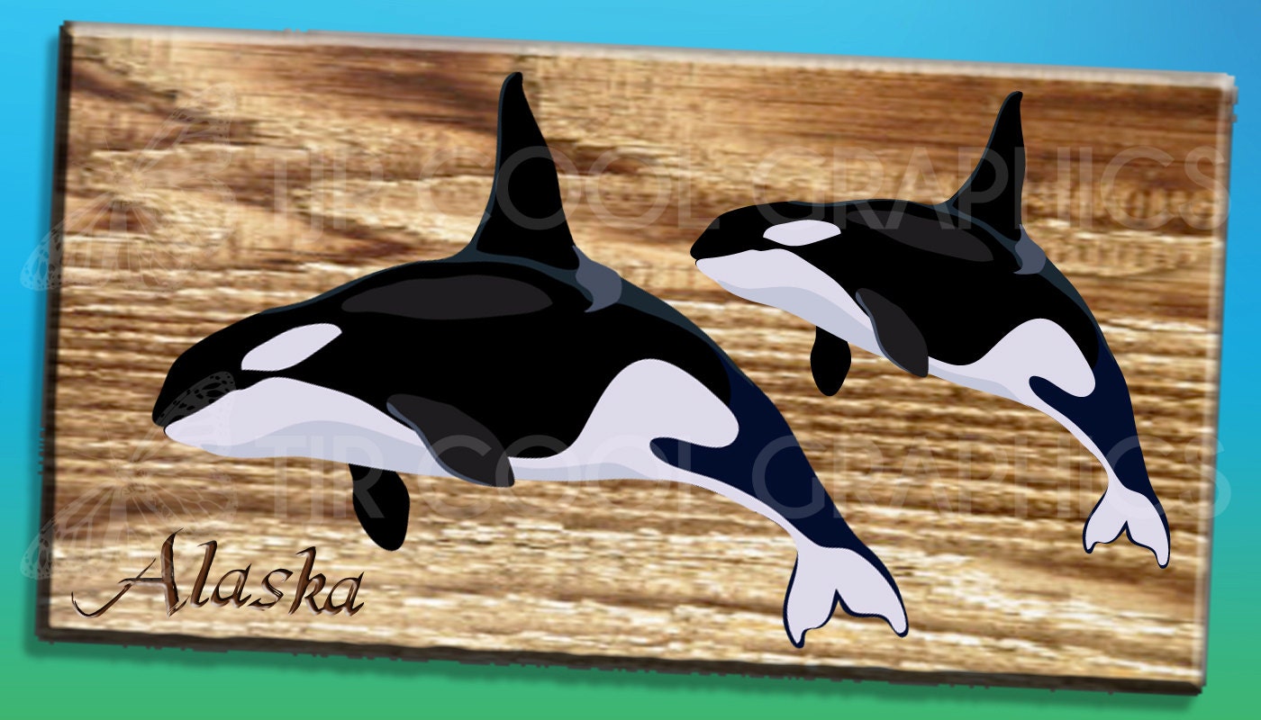 Alaska Animals Clipart For Kids