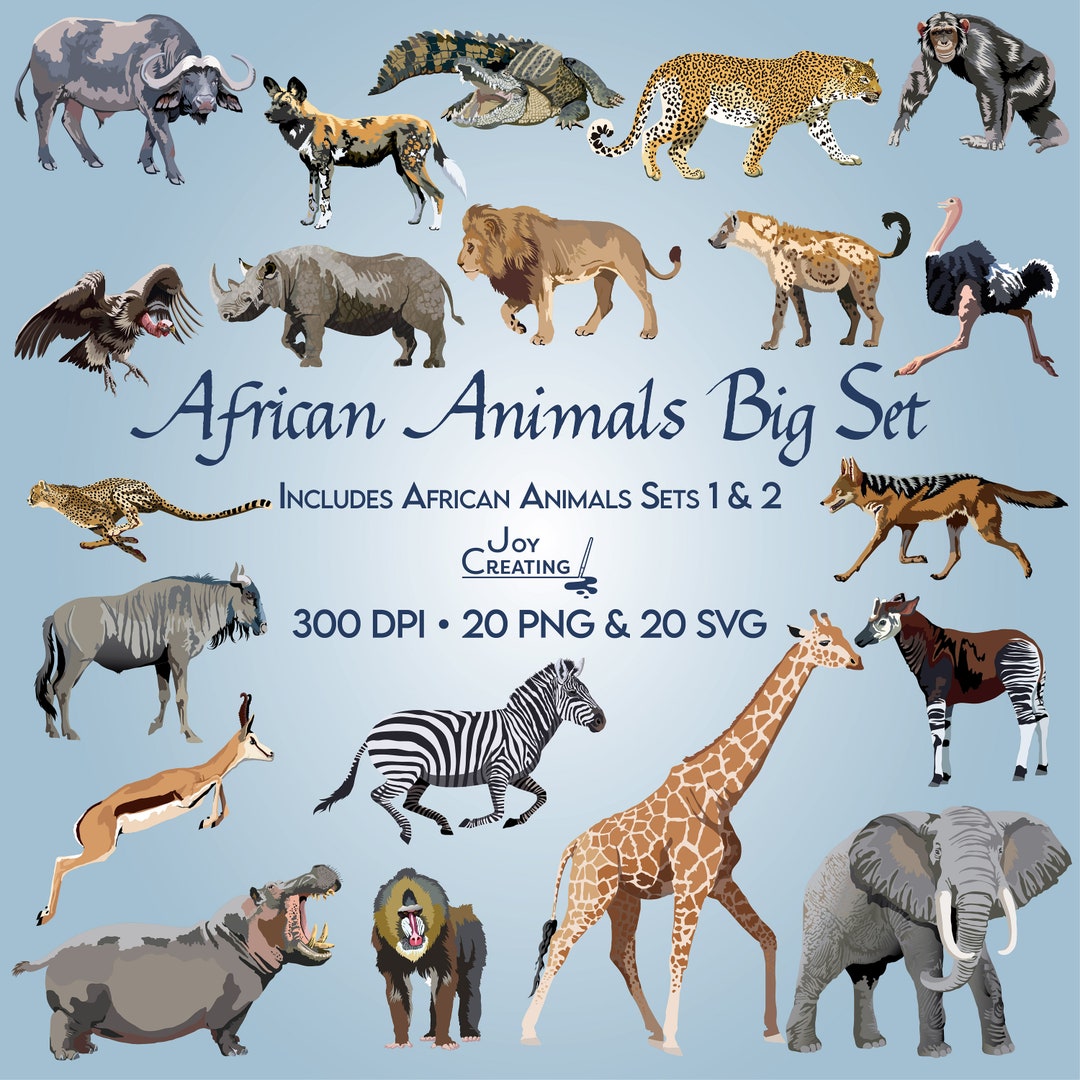 African Animals Clip Art, SVG - Etsy