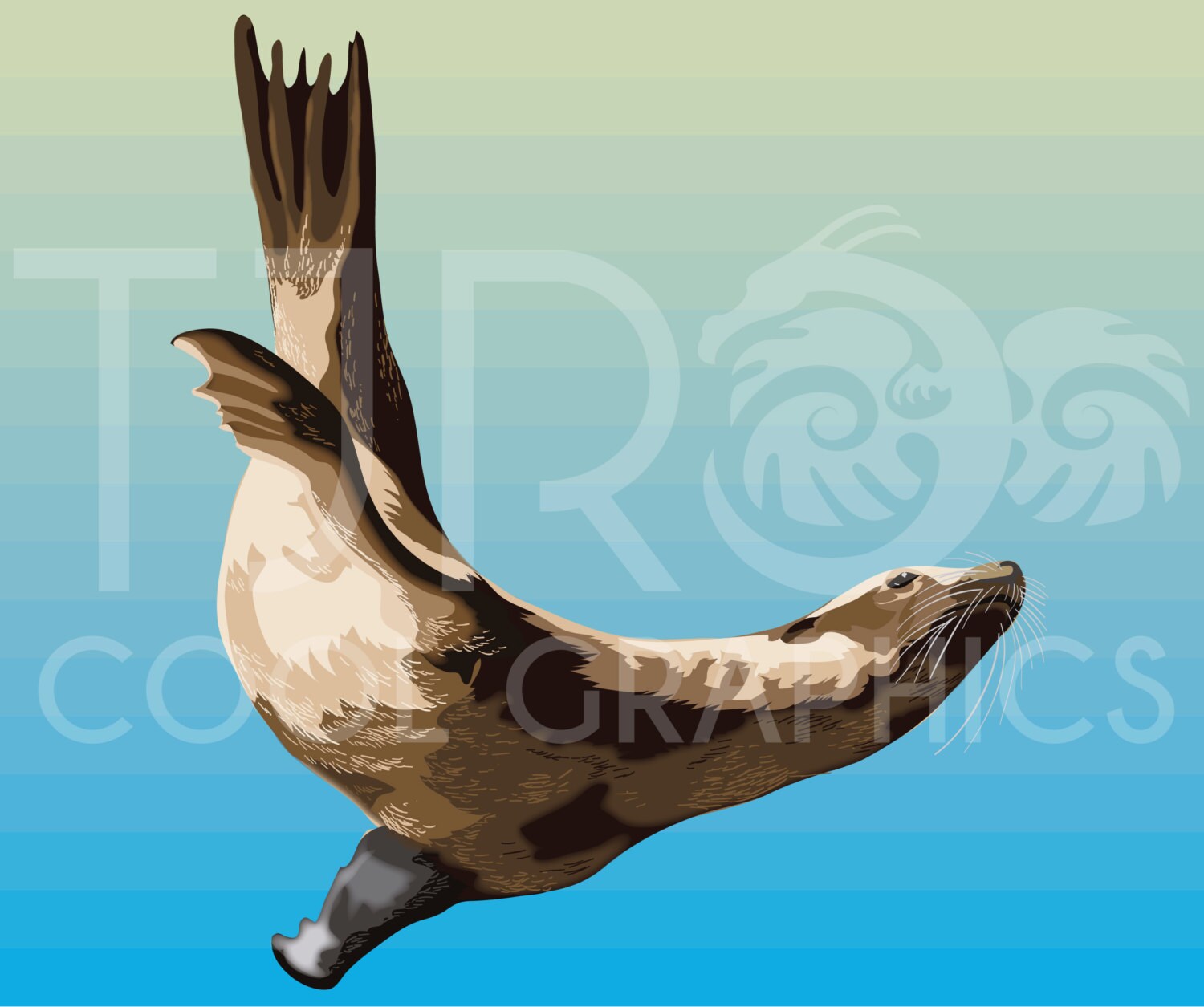 Seals Clip Art Animals Clipart Ocean Clipart SVG Clipart - Etsy