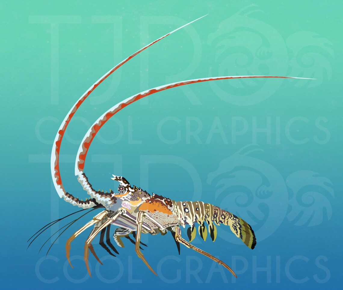 Ocean Animals Clip Art Octopus Clipart SVG Clipart PNG | Etsy