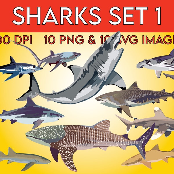 Blue Whale Clipart - Etsy