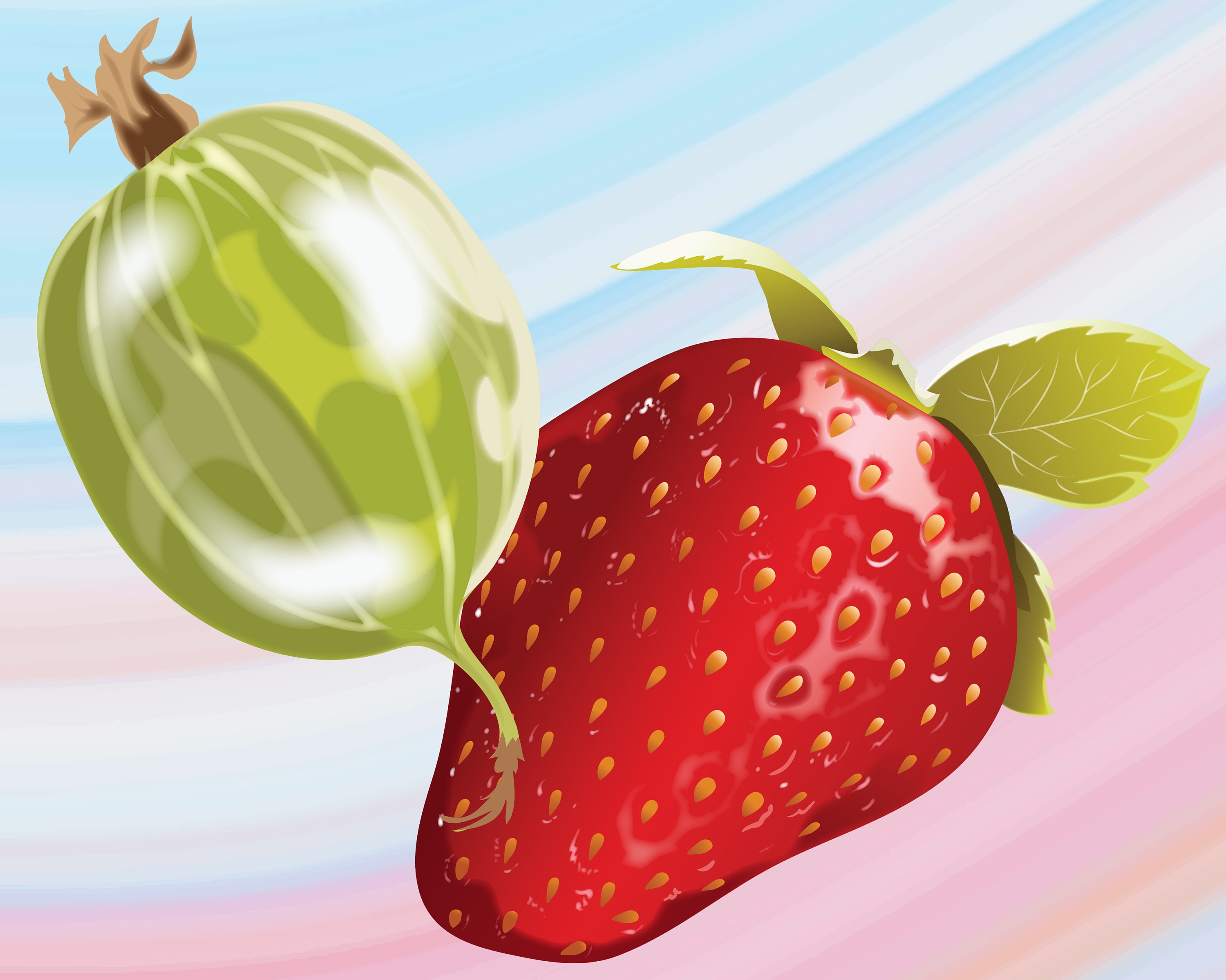 Berries Clip Art SVG Clipart Food Clipart Fruit Clip Art - Etsy