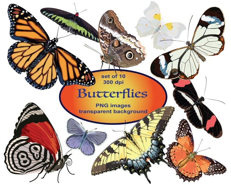 Butterflies and Moths Clip Art Animal Clip Art SVG Clipart - Etsy