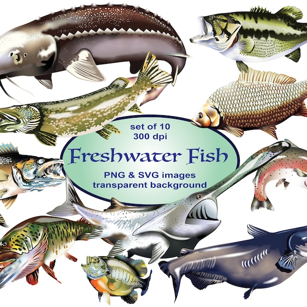 Freshwater Fish Art - Etsy